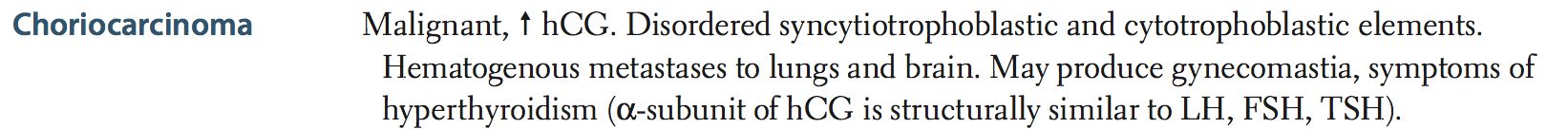 Back Choriocarcinoma