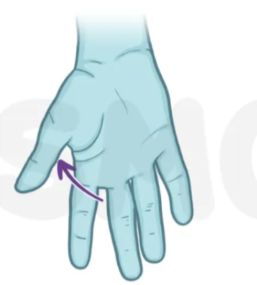 Back Reposition Movement and rotation of the thumbs tip away from that ...