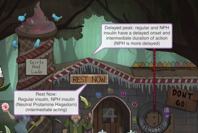 Extra Q11 What is the only insulin analog available for IV administration?