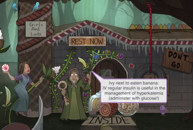 Extra Q14 What are the long acting insulin analogs?