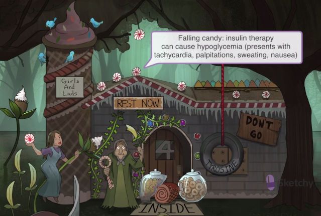 Extra Q16 MOA: Sulfonylureas