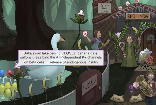 Extra Q17 Suffix: First-generation sulfonylureas