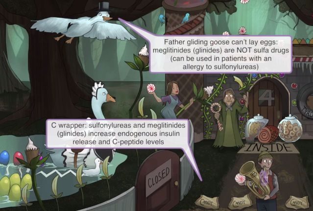 Extra Q21 Other than hypoglycemia, what is a common side effect of ...