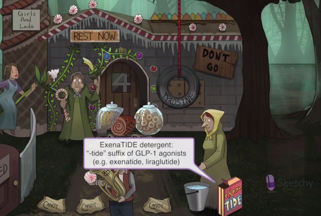 Extra Q24 What are the physiologic actions of GLP-1?
