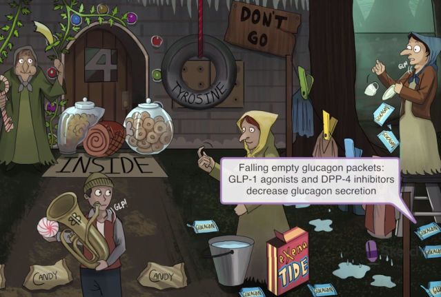 Extra Q25 MOA: "-gliptin" drugs