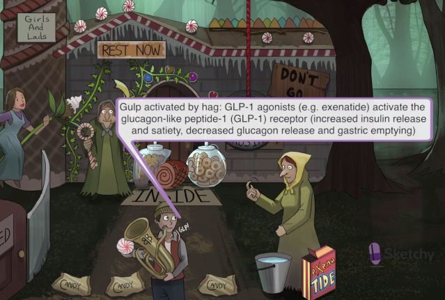 Extra Q25 MOA: "-gliptin" drugs