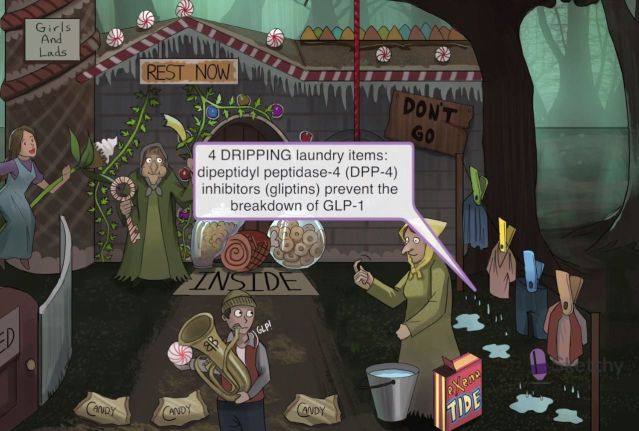 Extra Q26 What class of drugs increases levels of endogenously secreted ...