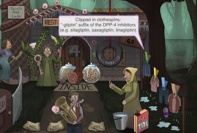 Extra Q26 What class of drugs increases levels of endogenously secreted ...