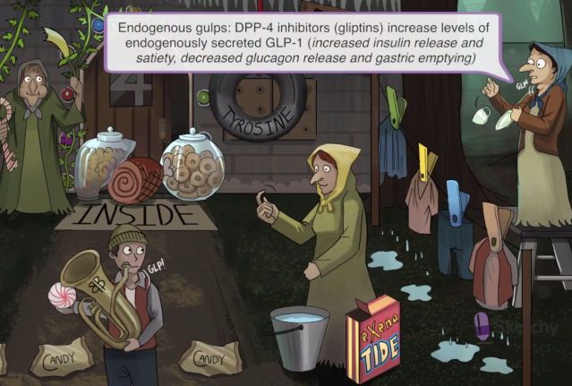 Extra Q27 Adverse Effects (2) : DPP-4 inhibitors