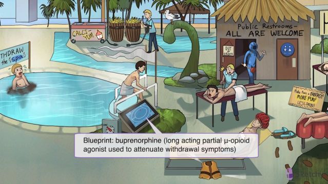 Extra Q12 MOA: Nalbuphine