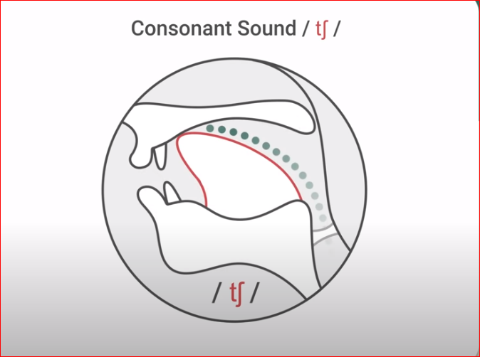Back [non-mp3 audio] Child [/tʃaɪld/] teacher [/ˈtiːtʃər/] much[/mʌtʃ/]