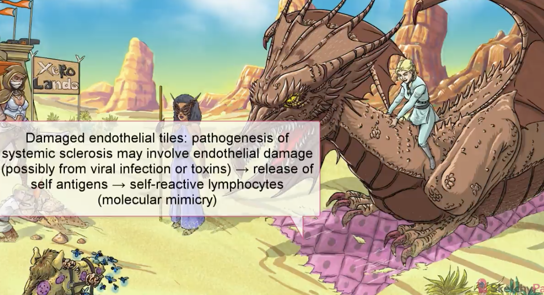 Extra Q11 Inflammation and cytokine release (IL-13 and TGF-β) in ...