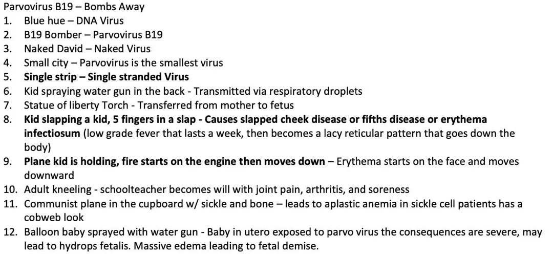 Watch Parvovirus B19 (Parvoviridae)