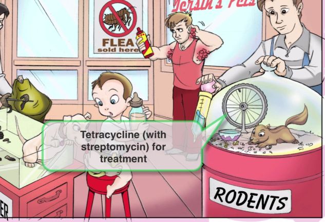 Extra Q11 What type of vaccine does Y. pestis have?