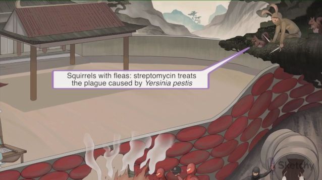 Extra Q11 What type of vaccine does Y. pestis have?