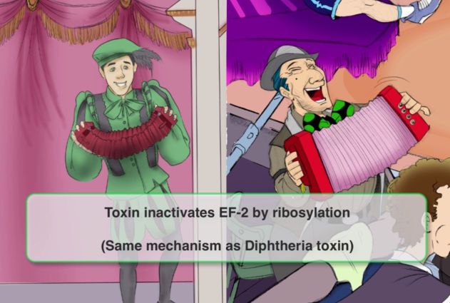 Extra Q11 Name 3 treatment options for Pseudomonas