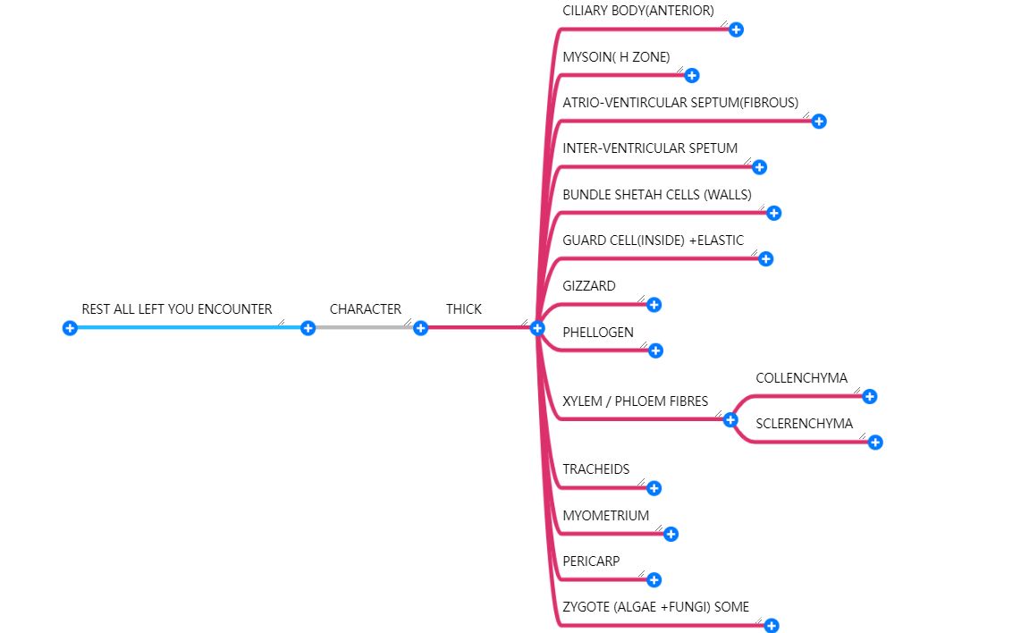 Extra ITS MYOFIBRIL/ MYOFILAMENTS..
