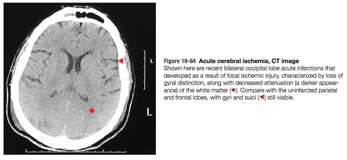 Additional Resources Atlas: