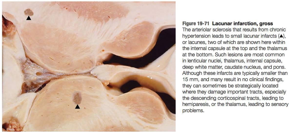 Additional Resources Atlas: