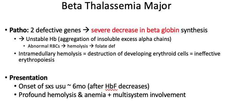 Front Beta Thalassemia Major: What is the other names? Patho? Clinical ...