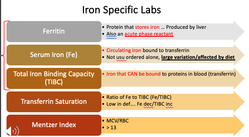 Front Iron Deficiency Anemia: Dietary sources of iron? Iron specific ...