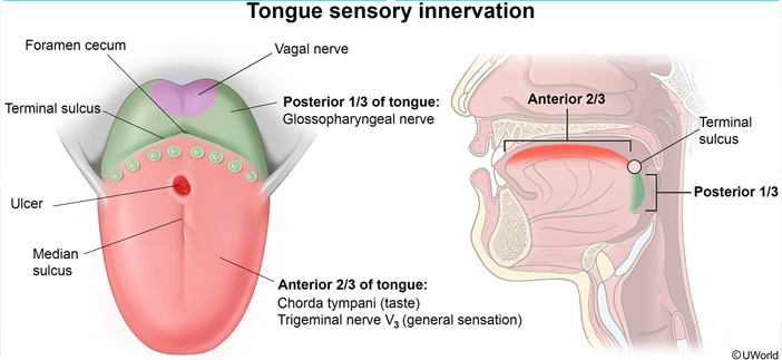 301 Moved Permanently