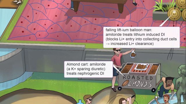 Extra Q10 Treatment: Central diabetes insipidus