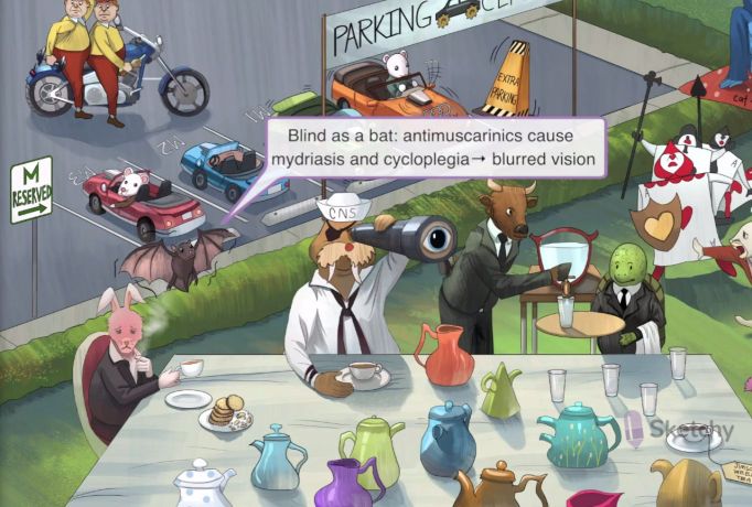 Extra Q10 Indications (3) : Atropine