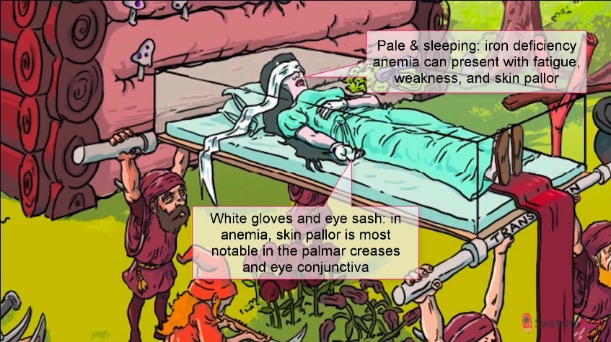 Watch Iron Deficiency Anemia & Anemia of Chronic Disease