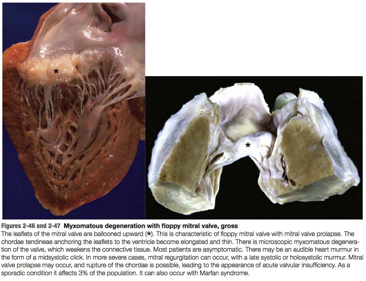 Additional Resources Atlas:
