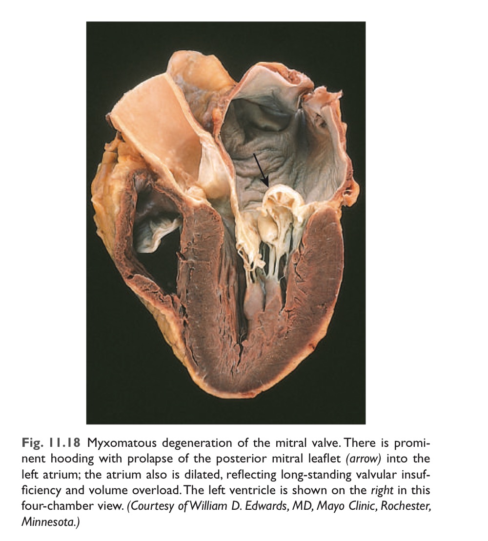 Additional Resources Atlas: