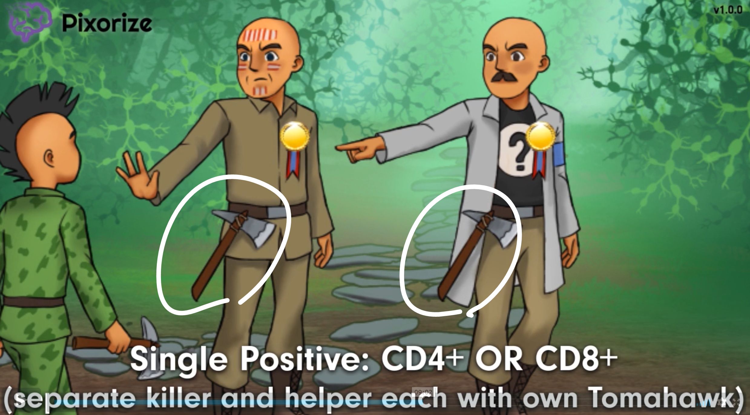 Text What are the two main functions of macrophages?{{c1::Phagocytosis ...