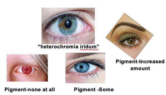 Tags