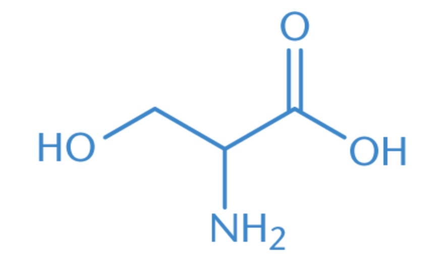 Text amino acid: {{c1::Serine}}three letter code: {{c1::Ser}}one letter ...