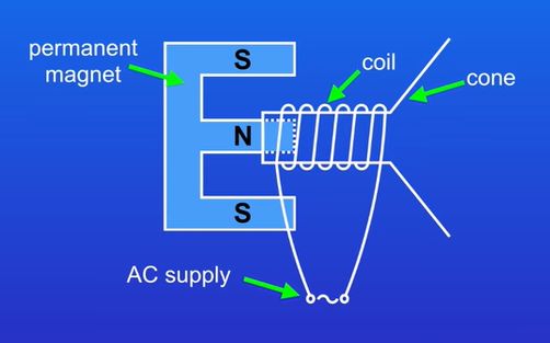 Back The magnetic fields of the permanent magnet and the coil interact.