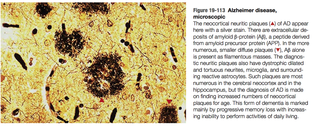 Additional Resources Atlas: