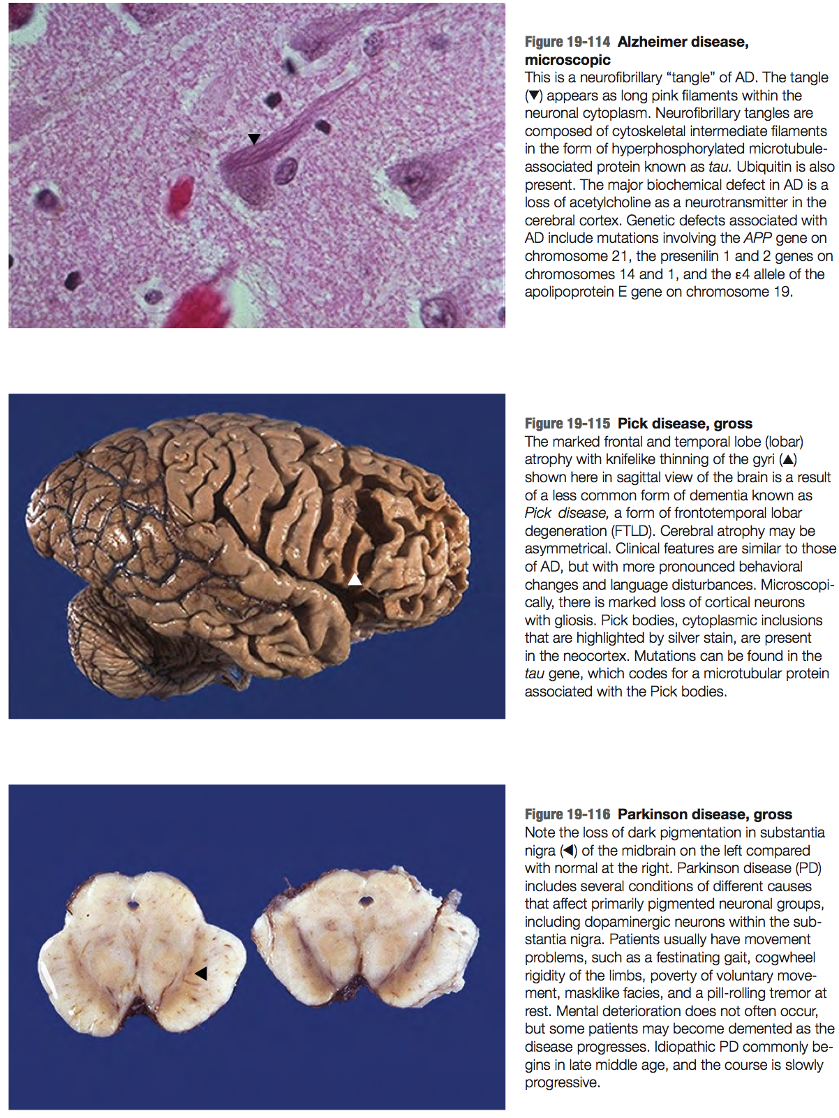 Additional Resources Atlas: