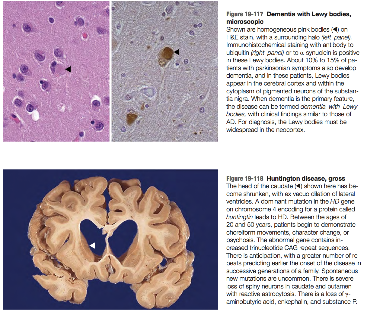 Additional Resources Atlas: