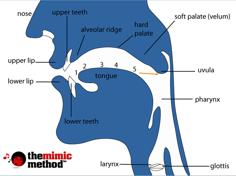 Nombre fonético Voiced Uvular Fricative