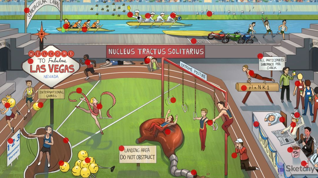 #SketchyPharm #SketchyPharm::GI_&_Endocrine::(1)-GI::1.1-Antiemetic ...